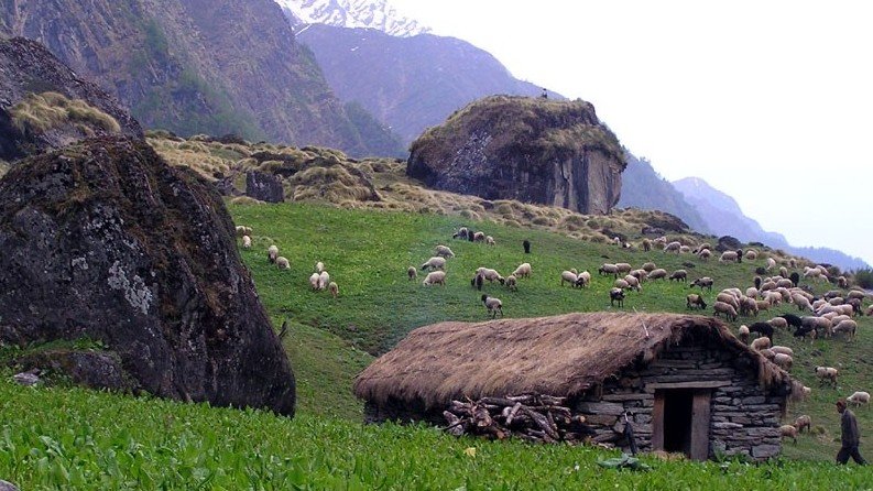 Mount Bhanoti Peak Trek, 2024 Kumaon Himalayas Uttarakhand